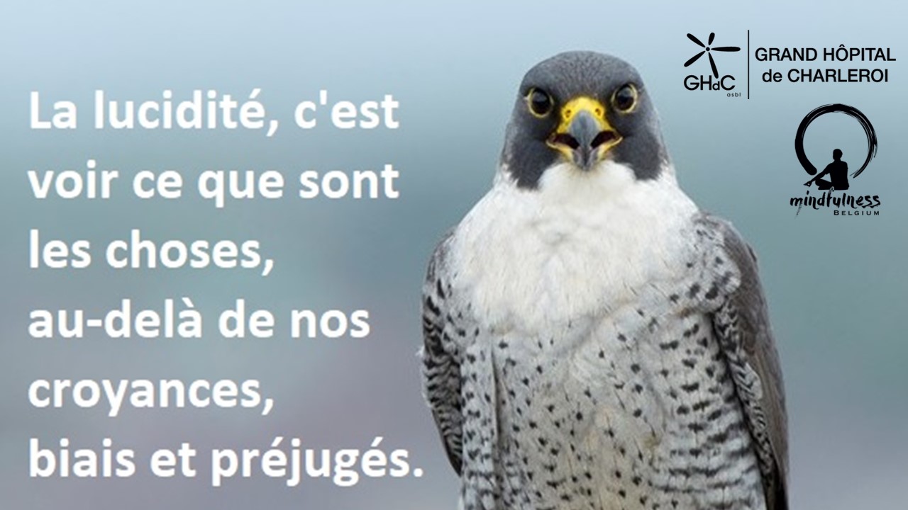 Pleine conscience et lucidité